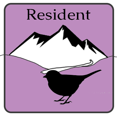 house sparrow – Birds of Ladakh